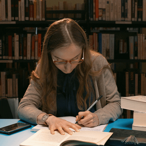 GitHub - haticeozbolat01/Text-Summarization-How-to-Calculate-BertScore: About BertScore