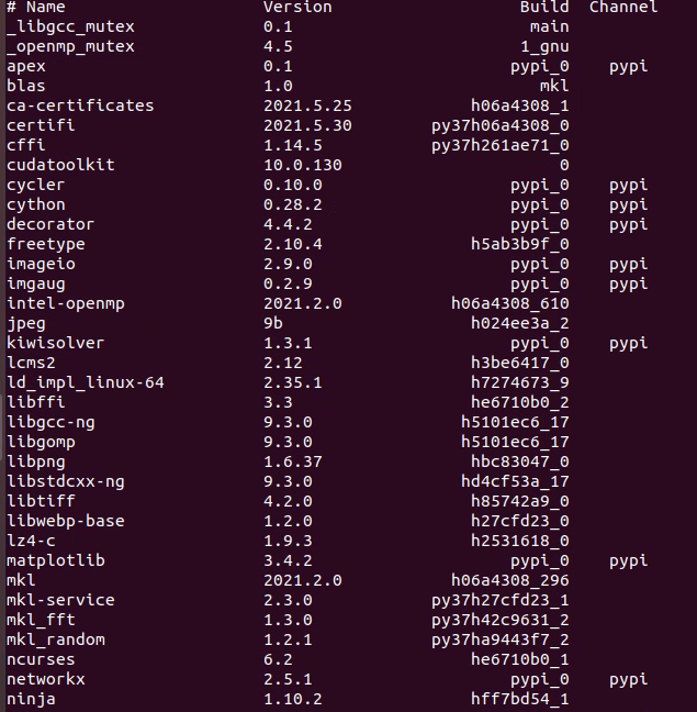 运行demo报错，cuDnn error:CUDNN_STATUS_MAPPING_ERROR · Issue #182 · zju3dv/snake · GitHub