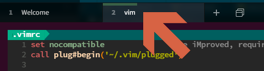 The progress bar appeares when I was using vim, and the speed becames slow · Issue #3062 ...