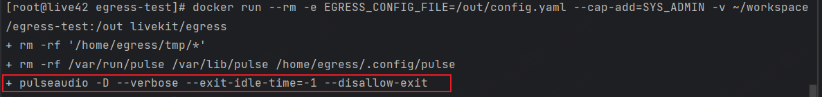 docker run then always stop at "+ pulseaudio -D --verbose --exit-idle-time=-1 --disallow-exit ...