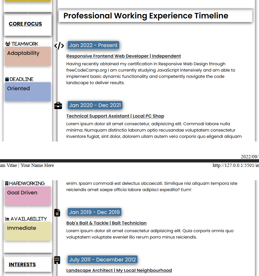 GitHub - SeanDylan1982/Professional-CV-Template: A Professional ...