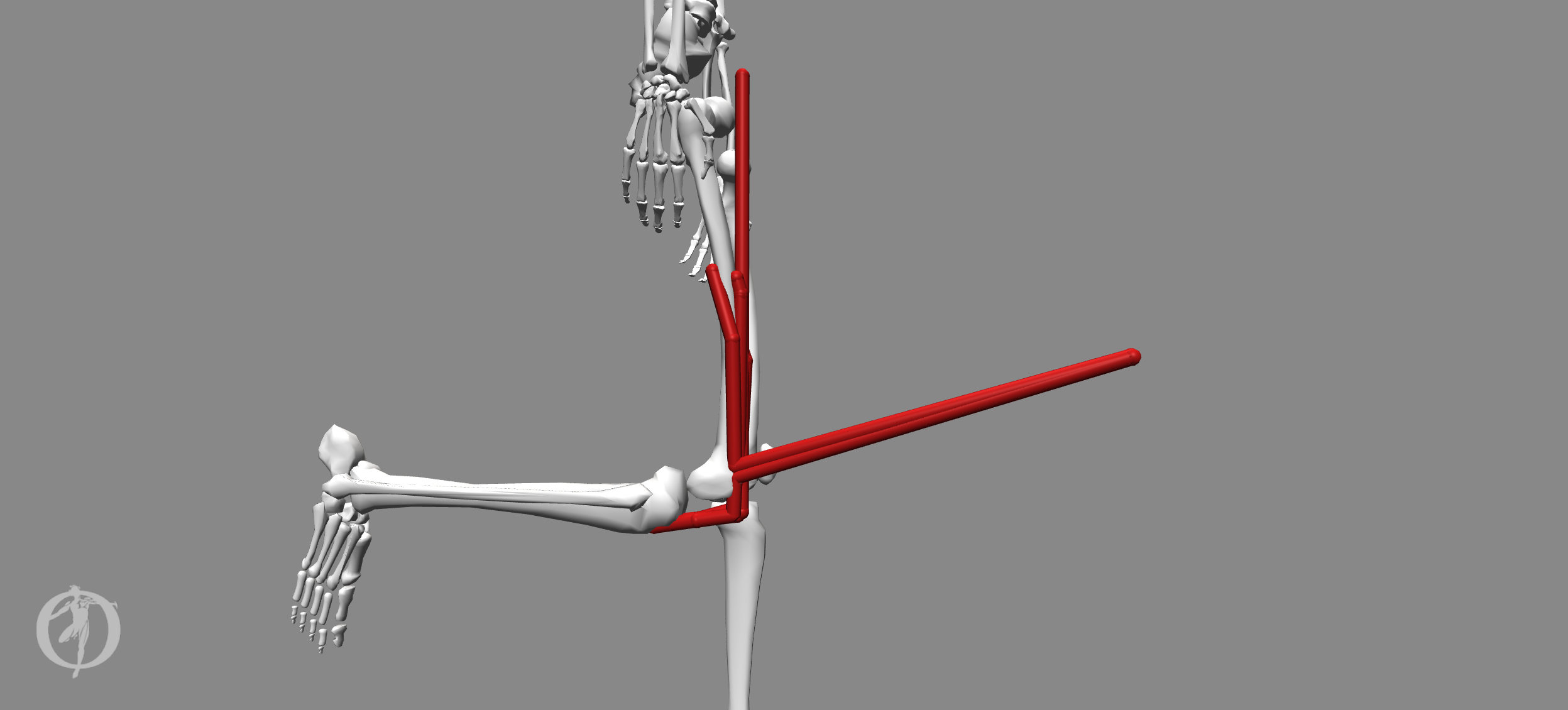 ConditionalPathPoint's sometimes don't visualize correctly · Issue ...