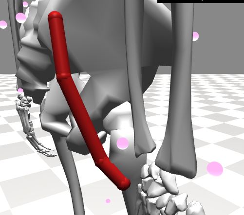 Wrap geometry quadrant display and muscle path around wrap object display unexpected · Issue ...