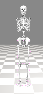 Geometry is incorrectly displayed after using Scale Tool when using a model that has its own ...