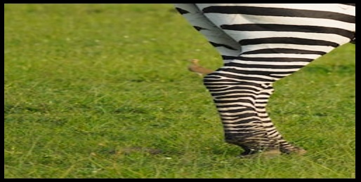 Github Aastharaj14 Image Resize Application Pythonproject Any Image