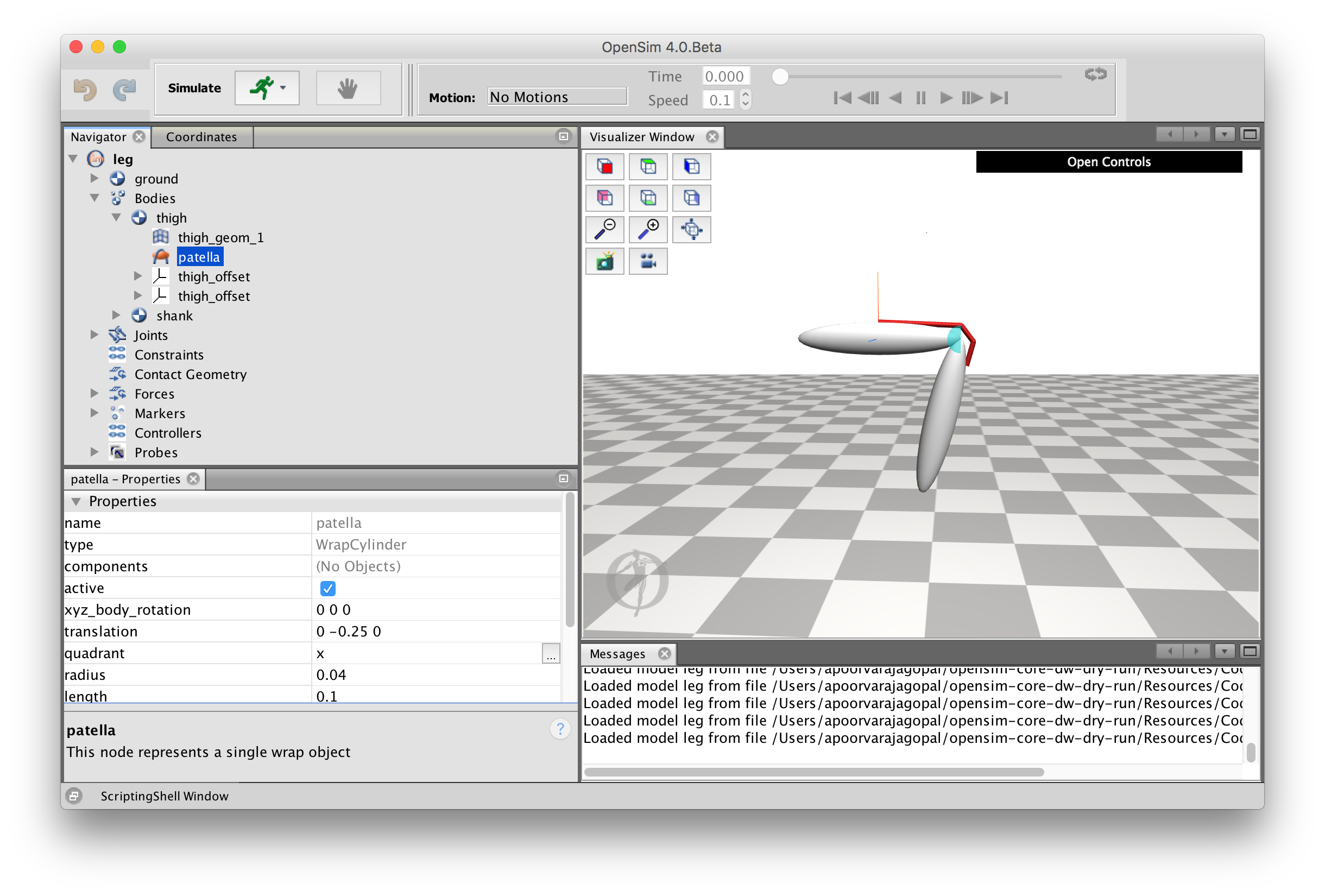 Wrap Geometry Quadrant Display And Muscle Path Around Wrap Object Display Unexpected · Issue