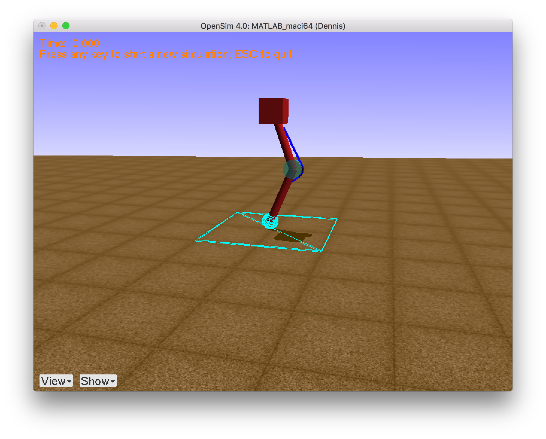 Wrap geometry quadrant display and muscle path around wrap object display unexpected · Issue ...