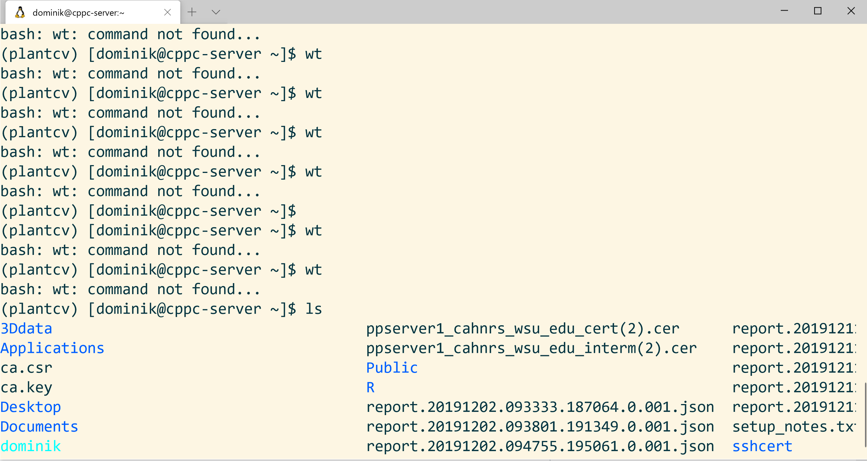 The bottoms of some lines are cut off for some unknown reason · Issue ...