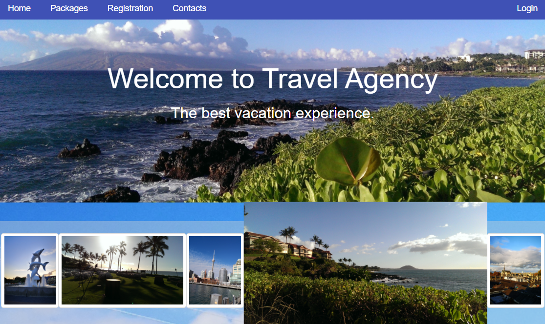 GitHub - syuzyk/HTML-CSS-JavaScript-Website: A website created for a fictional travel agency ...