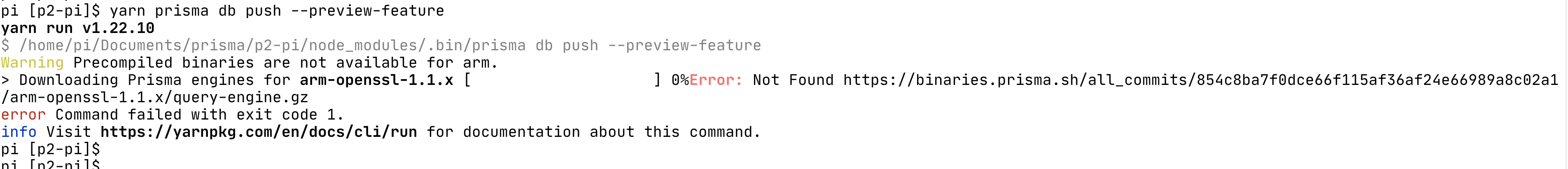 Improve error message on Raspberry pi (arm32) · Issue #5497 · prisma ...