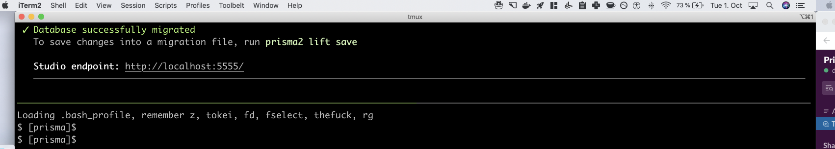 `prisma2 dev`: Lots of blank space which hides a lot of output when terminal is small & it ...