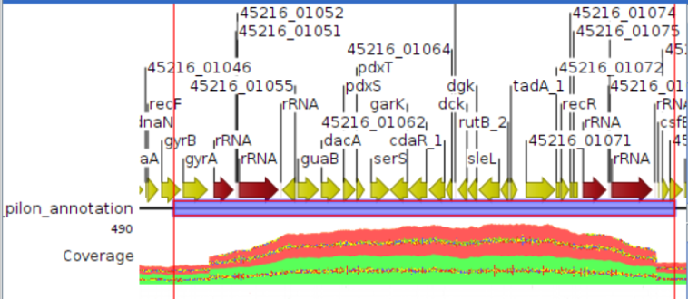 question on assembly and high coverage region · Issue #552 ...