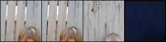 How to train on Sun80 or Urban100? · Issue #13 · dvlab-research/MASA-SR · GitHub