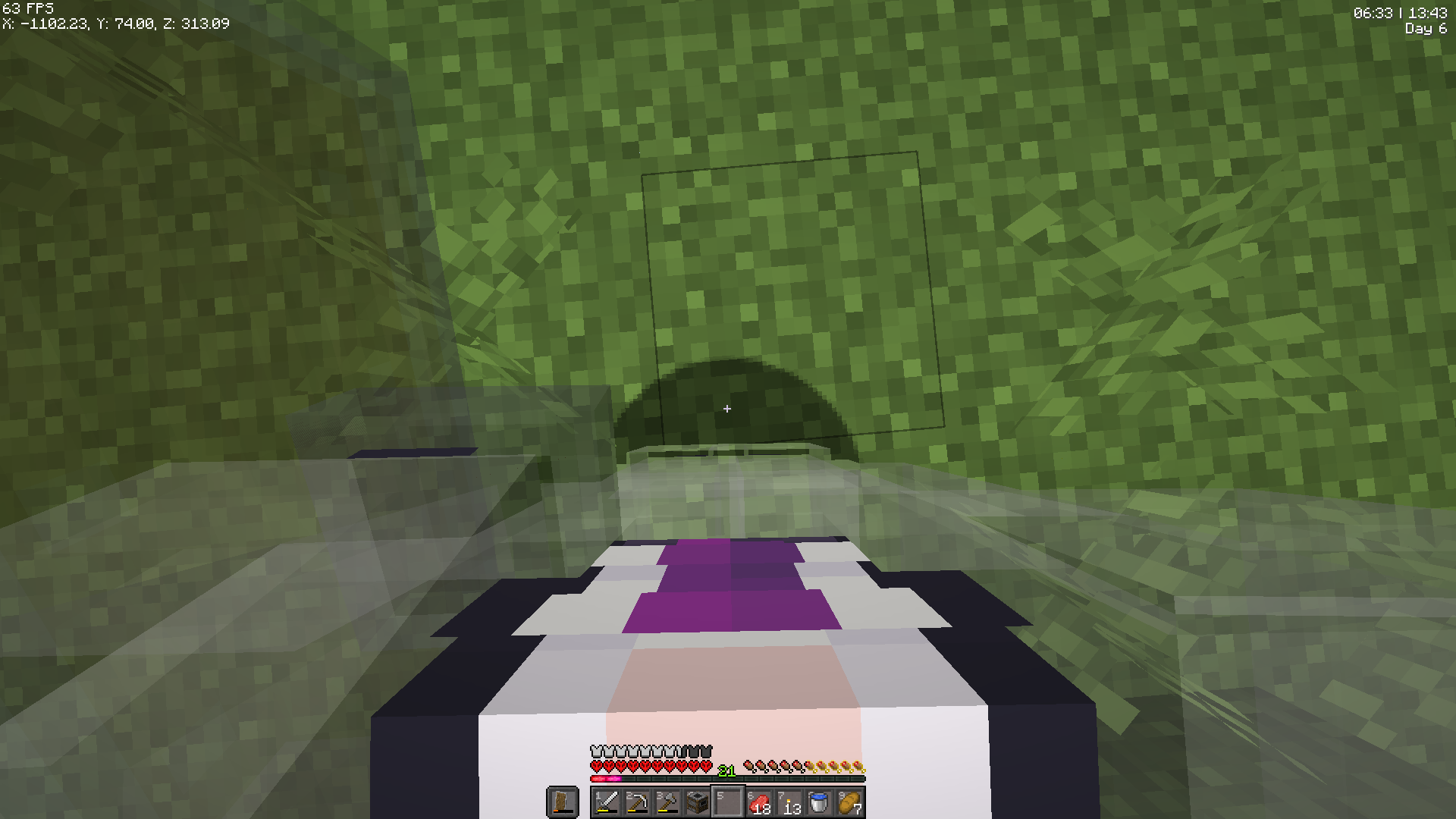 issues with More Culling and first person model · Issue #45 · enjarai/show-me-your-skin · GitHub