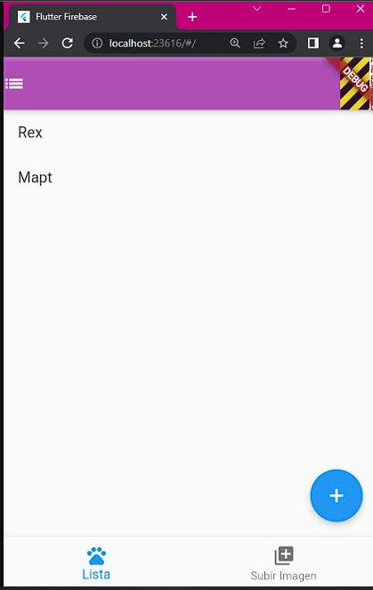 GitHub - Dustinouwu/Prueba-Flutter