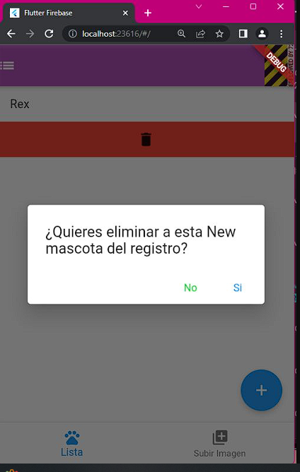 GitHub - Dustinouwu/Prueba-Flutter