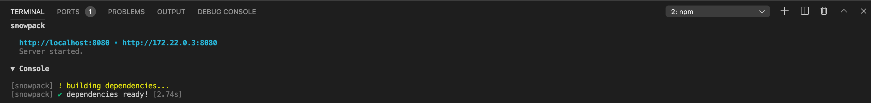Frigate Web UI Fails To Start on Dev Container · Issue #1076 · blakeblackshear/frigate · GitHub