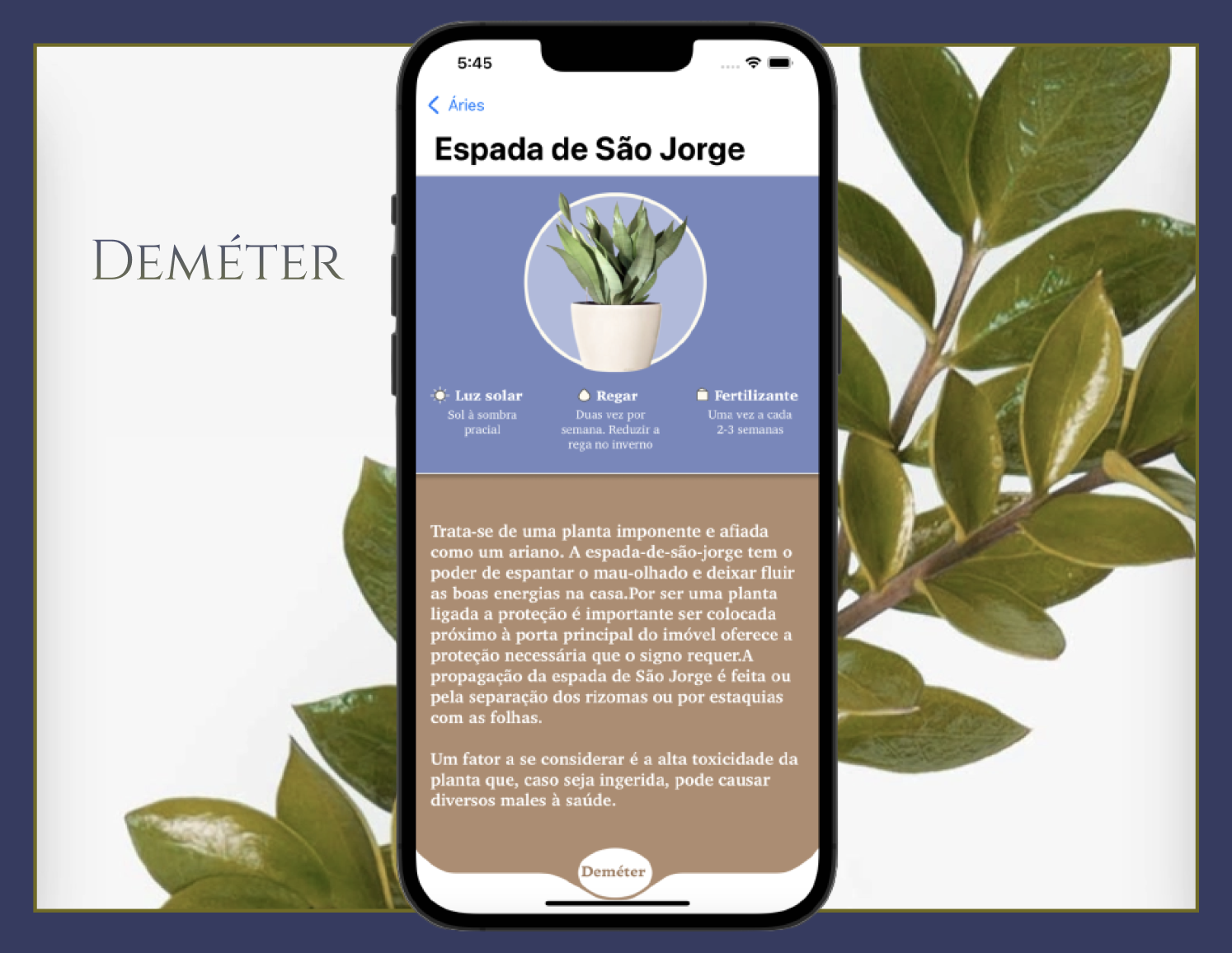 GitHub - GeozedequeGuimaraes/Demeter