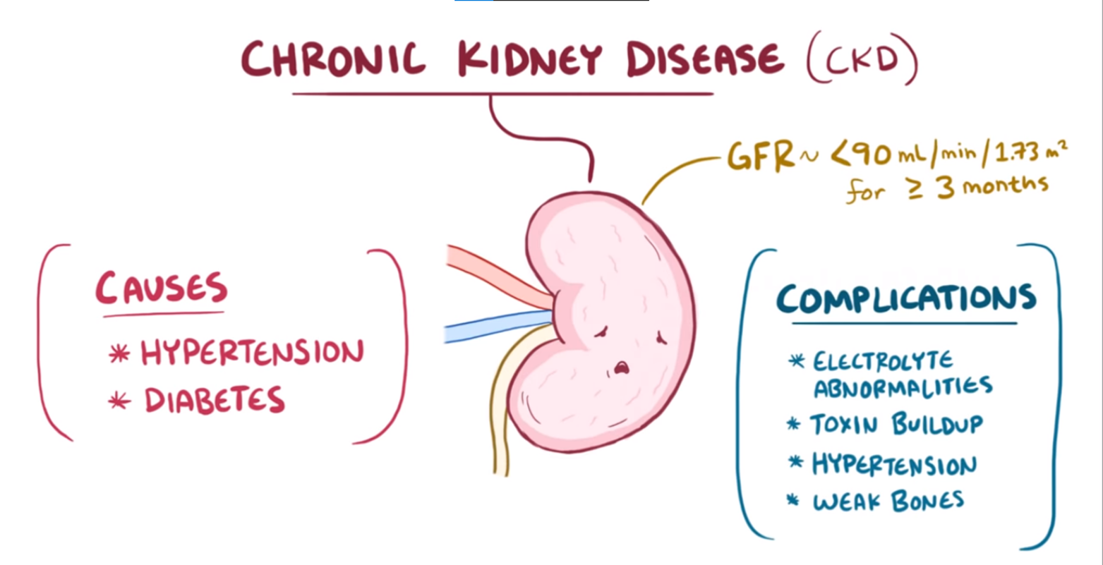 GitHub - Aveiro11/Chronic-Kidney-Disease-Detection-using-Machine-Learning