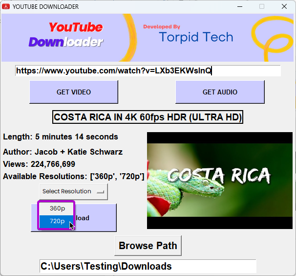 GitHub - deeptangshu29/youtube-video-downloader: This is a project for the subject Software ...