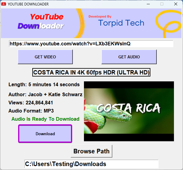 GitHub - deeptangshu29/youtube-video-downloader: This is a project for the subject Software ...