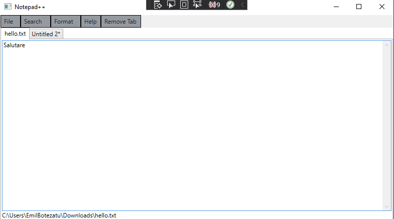 GitHub - botezatuemil/notepad-wpf