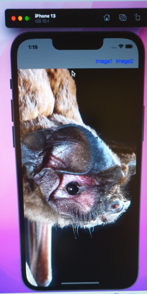 Loading Image Using Imagesource Fromfile Not Working On Android · Issue 6583 · Dotnet Maui · Github