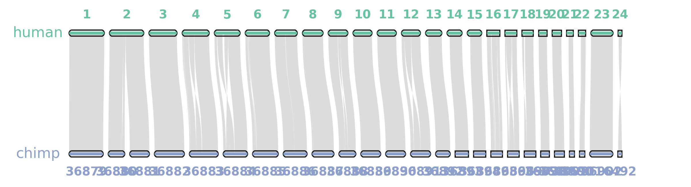 How to relay chromosome sizes to MCscan (python version), · Issue #476 ...