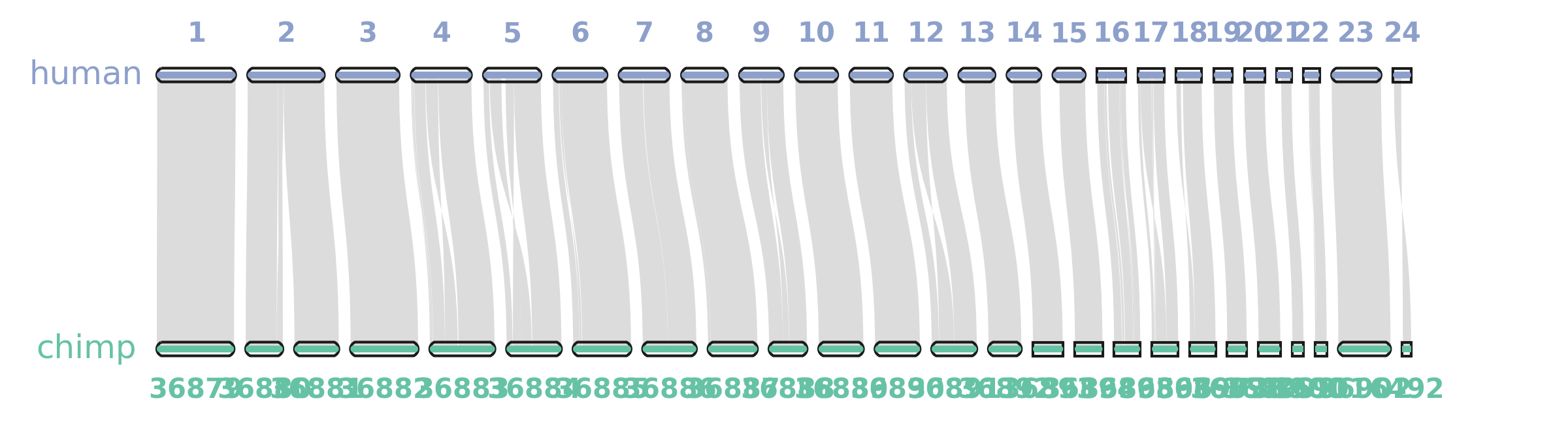 How to relay chromosome sizes to MCscan (python version), · Issue #476 ...