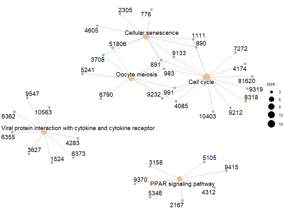 Confuseable keyType for enrichKEGG and setReadable · Issue #108 · YuLab ...