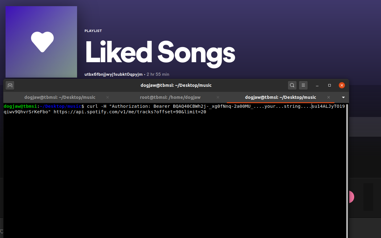 [Feature] Link account, download liked songs and all playlist at a time ...