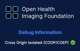 Enhanced debug page and a way to validate configuration for security · Issue #3137 · OHIF ...