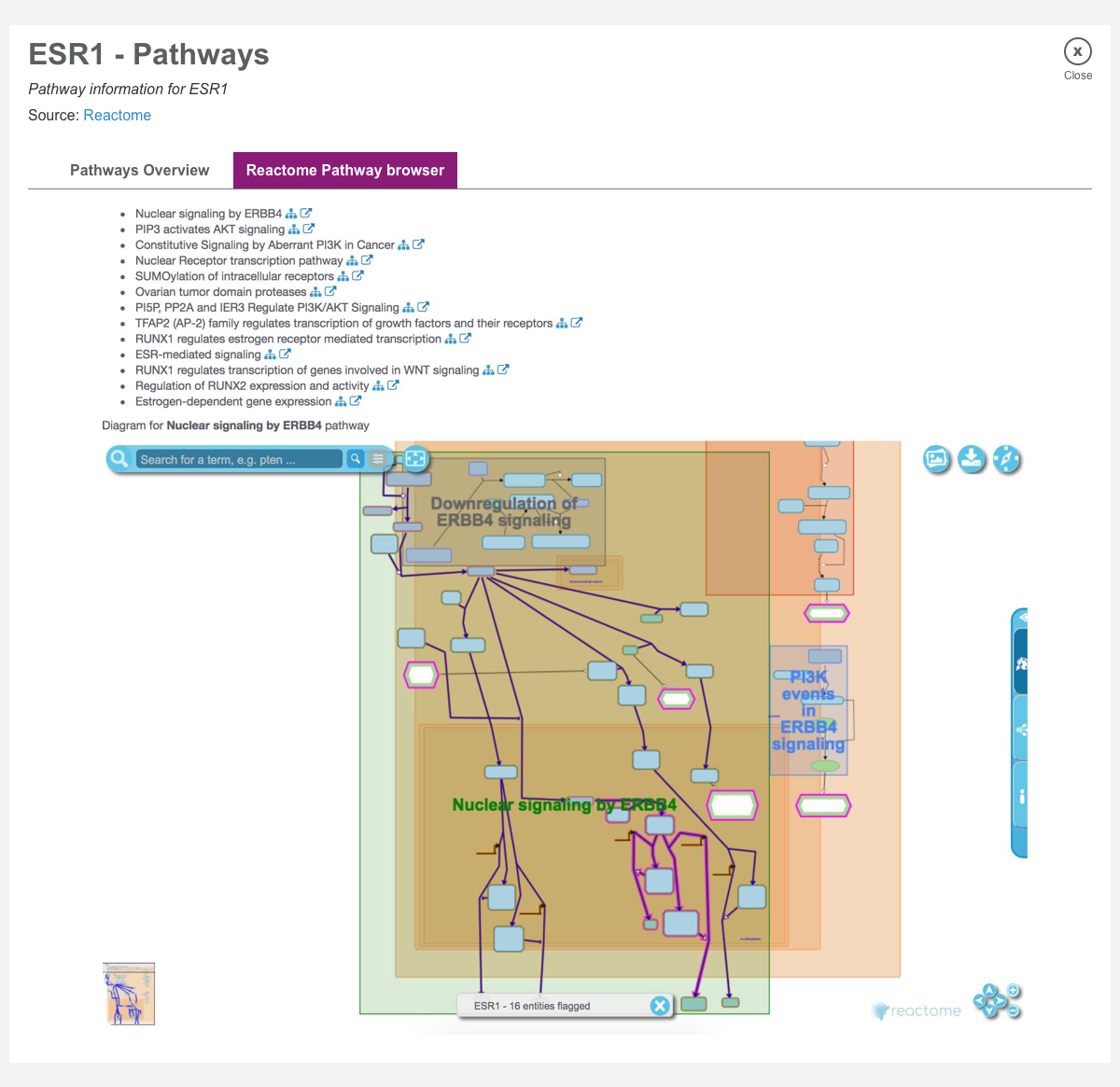 Target profile page rewrite: Create "Pathways" detail view · Issue #252 · opentargets/issues ...