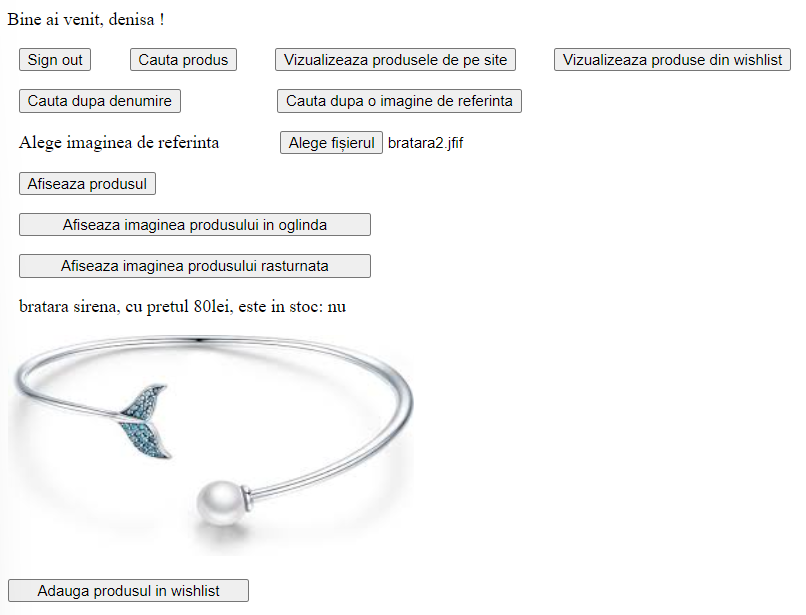 GitHub - denisa-iordache/Magazin_bijuterii_Baze_de_date_multimedia: Proiectul realizat in C# a ...