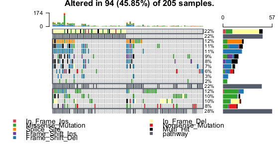Gene Pathways in coOncoplots · Issue #637 · PoisonAlien/maftools · GitHub