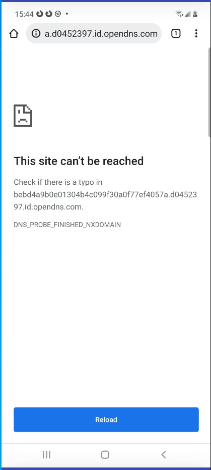 block.opendns.com - site is not usable · Issue #98672 · webcompat/web-bugs · GitHub