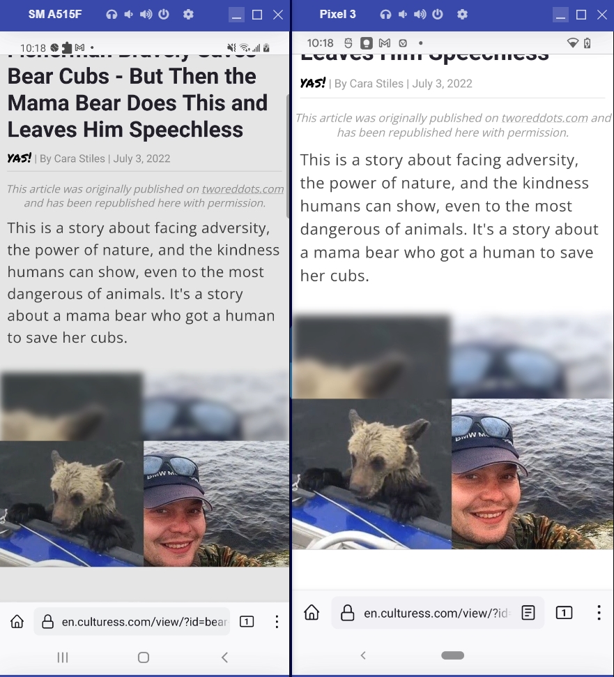 en.culturess.com - see bug description · Issue #108140 · webcompat/web-bugs · GitHub