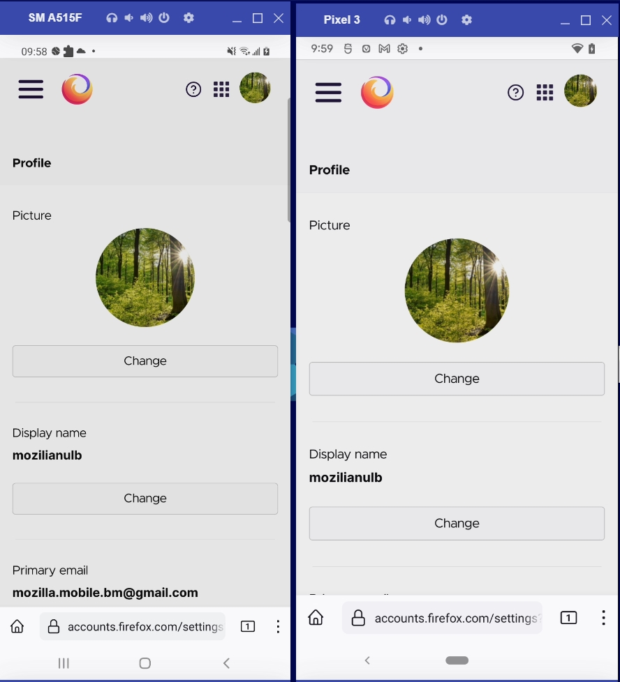 accounts.firefox.com - see bug description · Issue #110817 · webcompat/web-bugs · GitHub