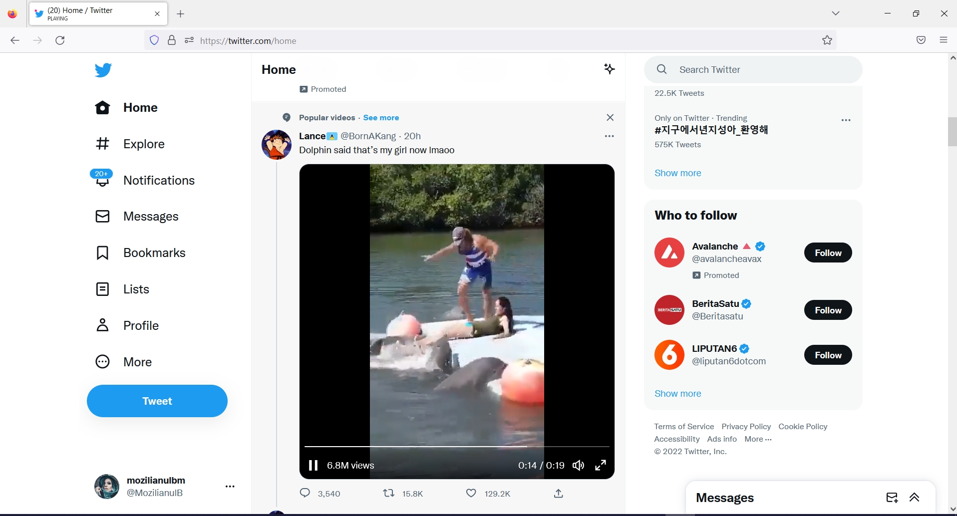 twitter.com - see bug description · Issue #112950 · webcompat/web-bugs ...