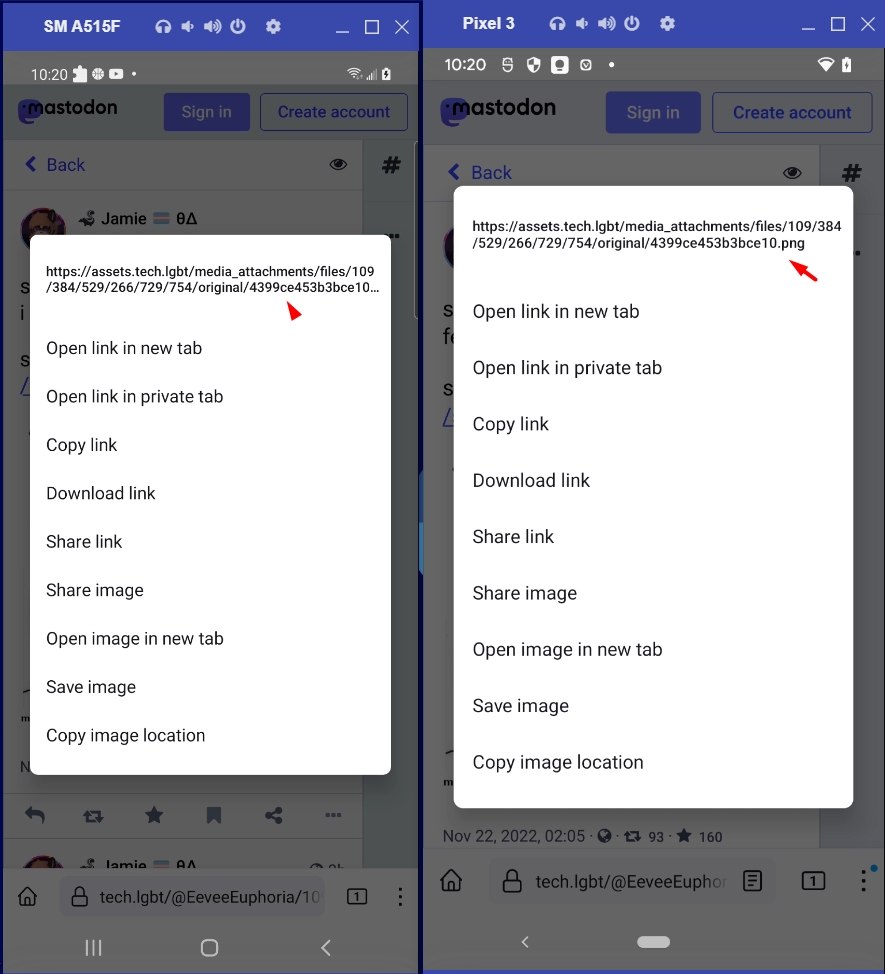 tech.lgbt - Missing info from image description · Issue #114462 · webcompat/web-bugs · GitHub