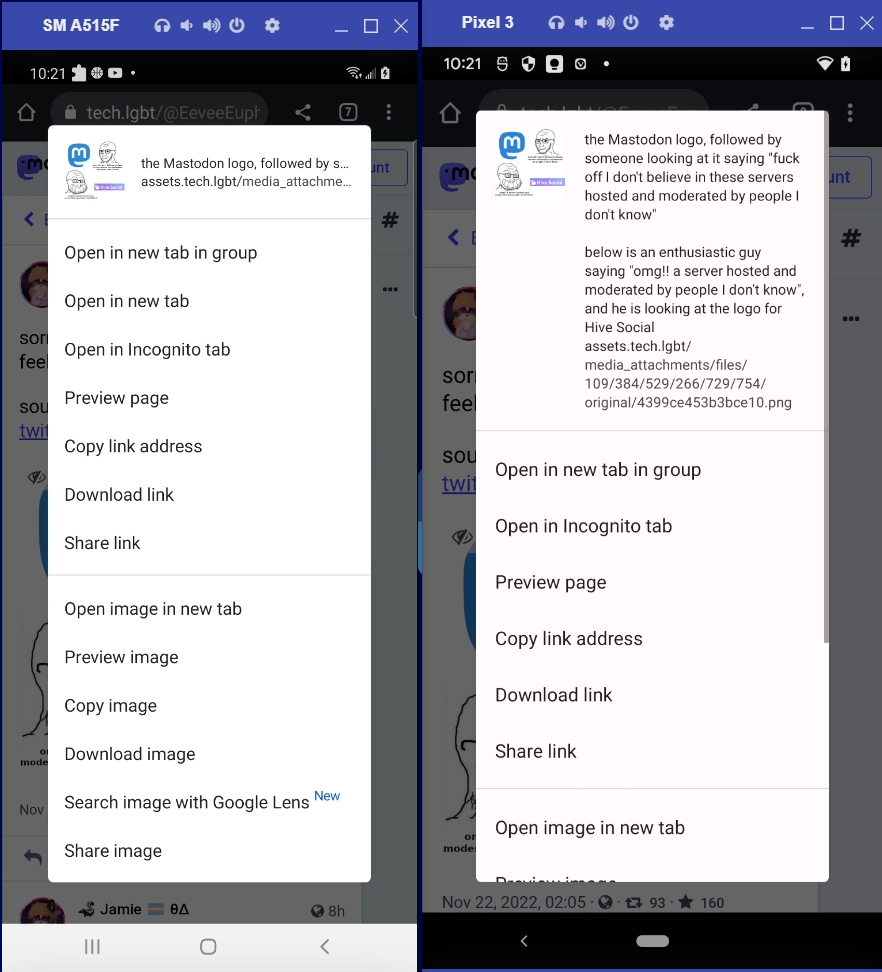 tech.lgbt - Missing info from image description · Issue #114462 · webcompat/web-bugs · GitHub