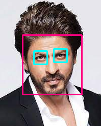 GitHub - swarnava-96/Face-and-Eyes-Detection-of-Famous-Personalities ...
