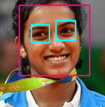 GitHub - swarnava-96/Face-and-Eyes-Detection-of-Famous-Personalities ...