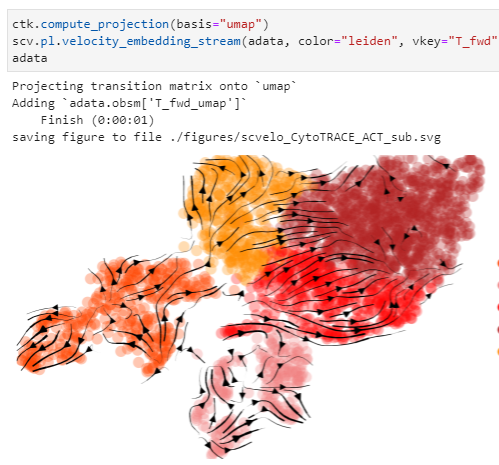 Is it possible to draw the CytoTRACE pseudotime-directed PAGA graph? · Issue #773 · theislab ...