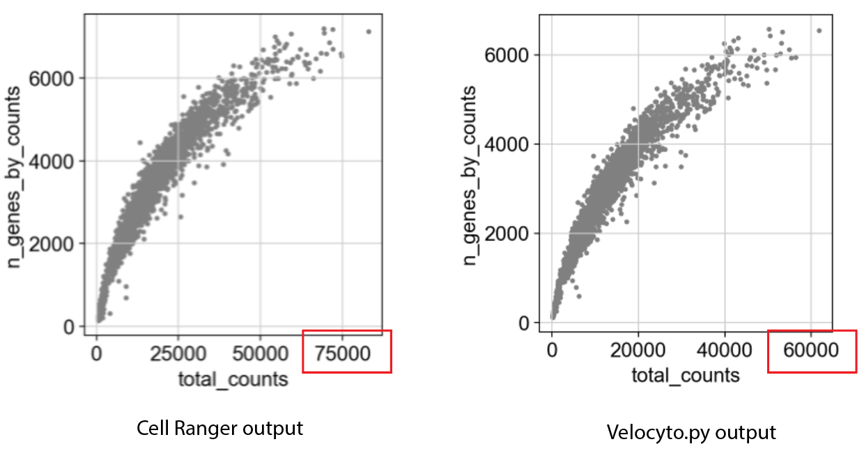 Velocyto.py generates lower counts than Cell Ranger. Can we still use ...
