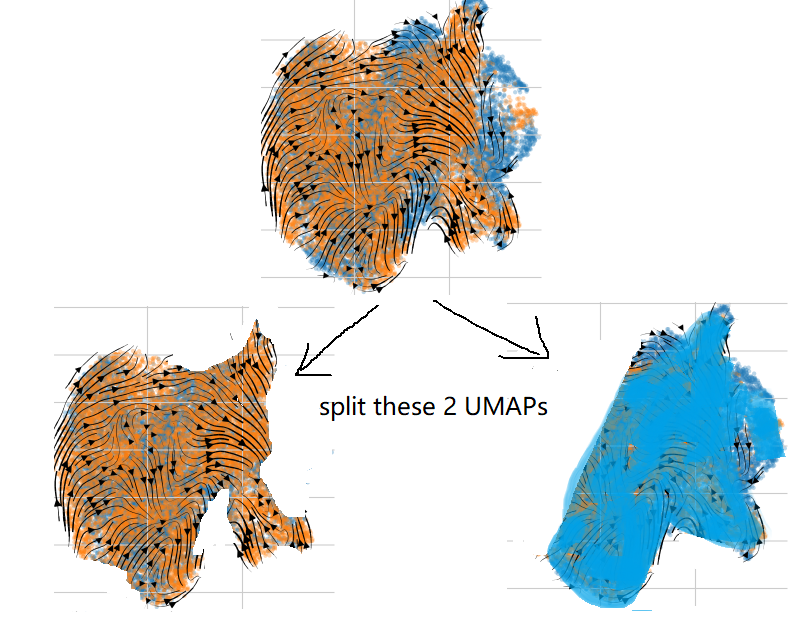 Store The Bbknn Proceeded Embedding Into Individual Obsm[ X Umap ] · Issue 2123 · Scverse