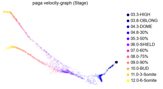 'Invalid color key. Using grey instead' when drawing ct_pseudotime-directed PAGA on the results ...