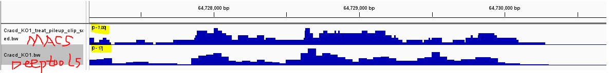 peek called by deeptools is different from MACS2 · Issue #1132 · deeptools/deepTools · GitHub