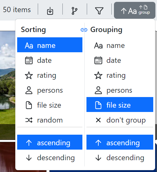 Sort by file size · Issue #222 · bpatrik/pigallery2 · GitHub