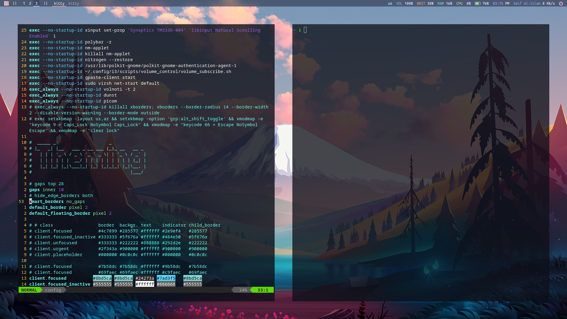 "smart_borders no_gaps" option is broken · Issue #5406 · i3/i3 · GitHub